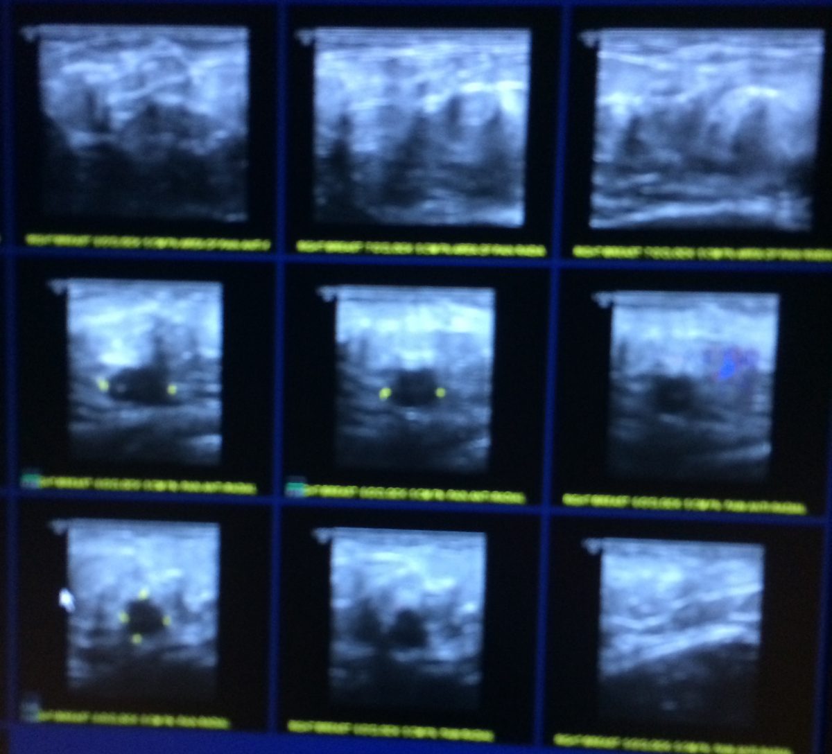 It's National Sarah Day! - All American Window and Door